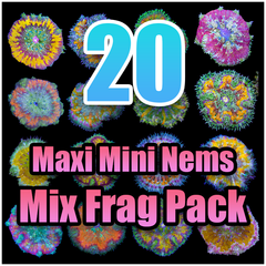 Frag Packs – Aqua SD