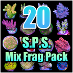 20 ASSORTED SPS MIX FRAG PACK – Aqua SD